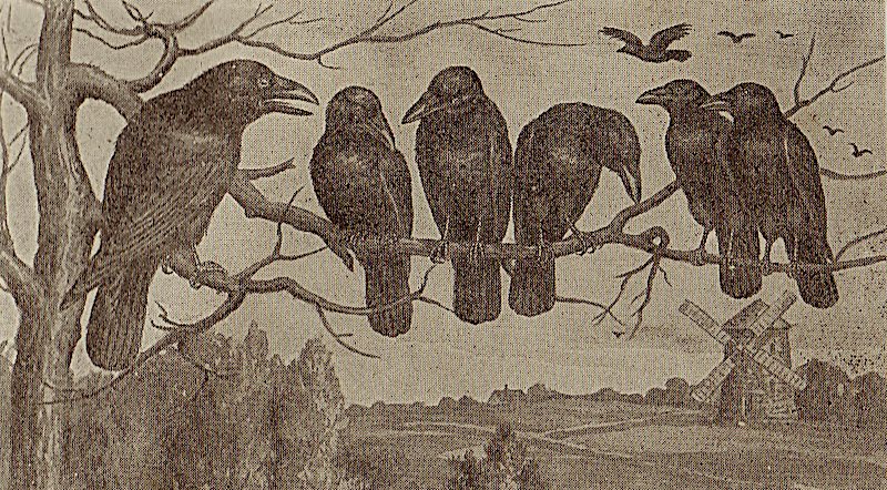 Counting Crows – Next-Door Nature