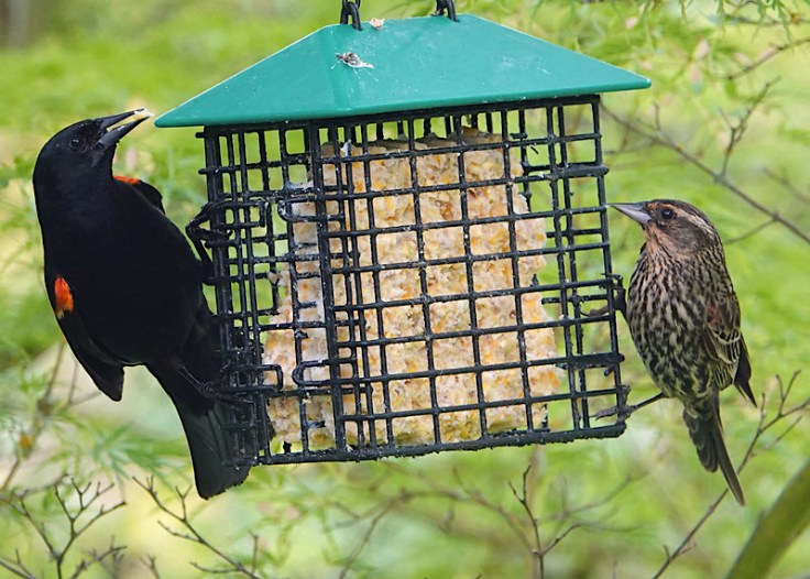 Exceptional – Next-Door Nature